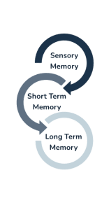 Working Memory in Cognitive Development, Learning and Academic ...