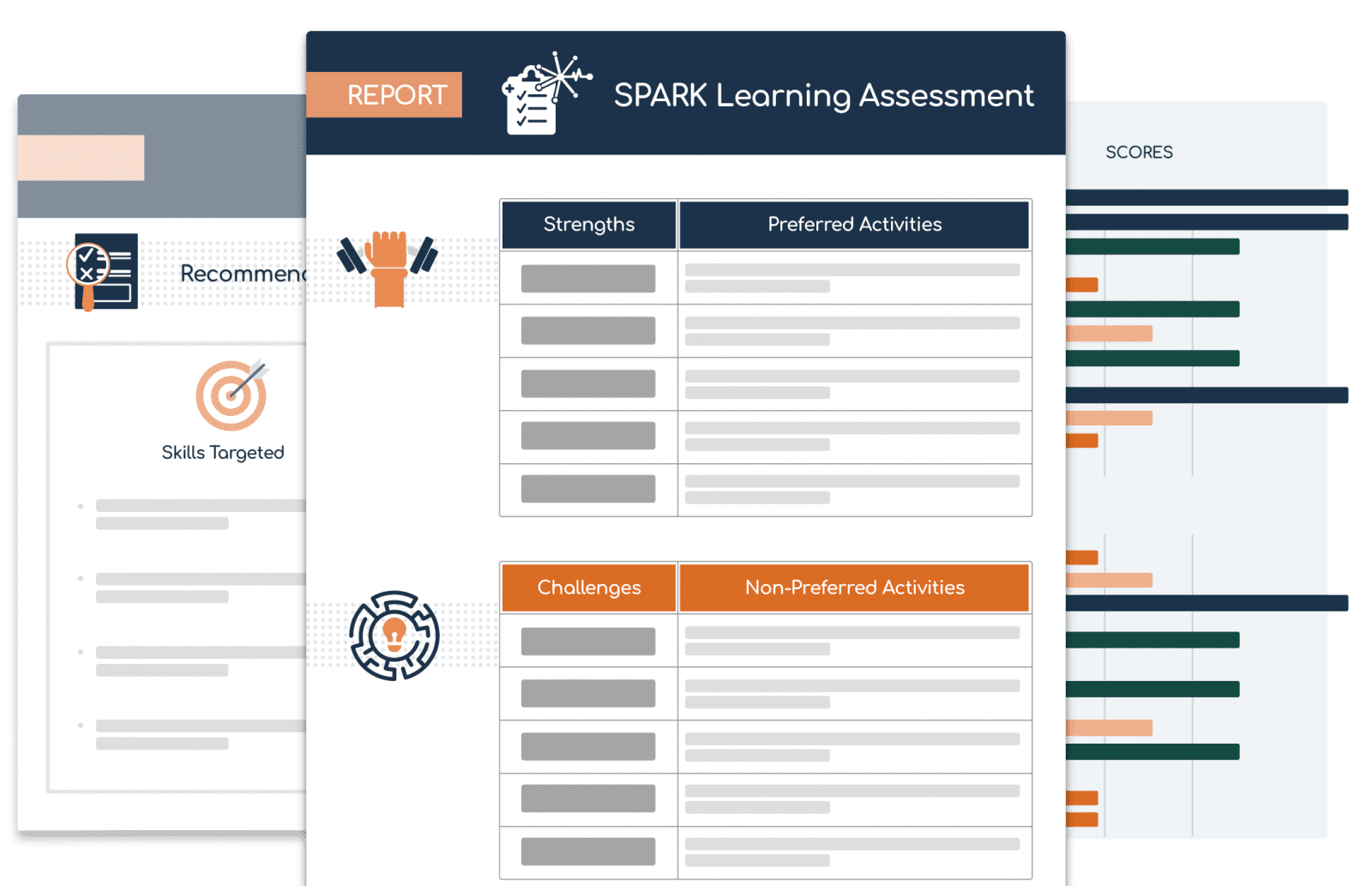 The SPARK Learning Assessment: How to Ignite Progress for Any Learner ...