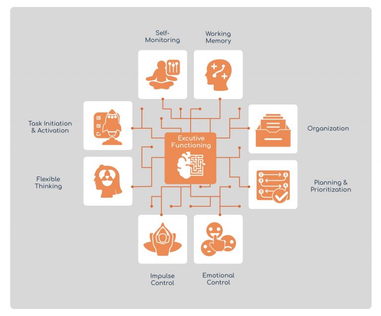 ADHD vs. Executive Dysfunction: What You Need to Know – Learnfully